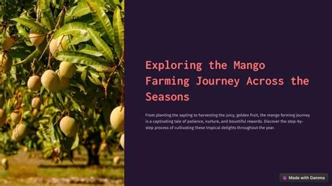 PPT Mango Farmland Chennai Mango Farmland For Sale In Chennai M S