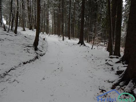Sveti Trije kralji Črno jezero na Pohorju Slika 525866