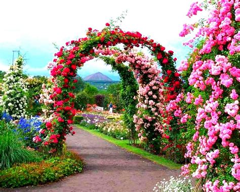 Details 100 Full Hd Garden Background Abzlocal Mx