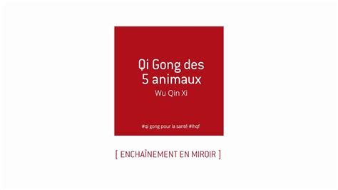 Qi Gong Des Animaux Wu Qin Xi Miroir Youtube