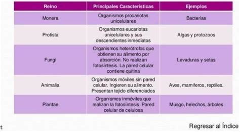 Cuadro Comparativo De Los Reinos