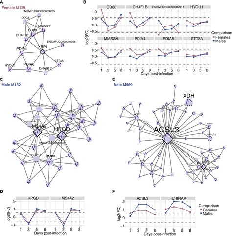 sex disparities in influenza a multiscale network analysis iscience