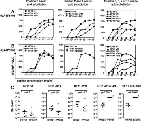 cross recognition of kf11 peptide variants in hla b 5701 or download scientific diagram
