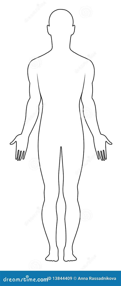 Homme debout nu illustration de vecteur Illustration du côté 13844409