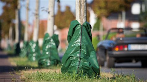 Wassersäcke für durstige Bäume