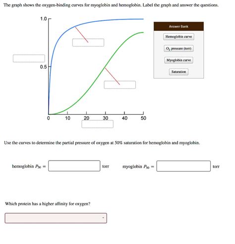 solved the graph shows the oxygen binding curves for myoglobin and hemoglobin label the graph