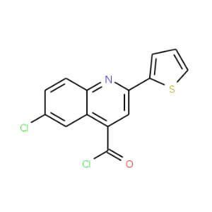 Chloro Thienyl Quinoline Carbonyl Chloride Scbt Santa Cruz