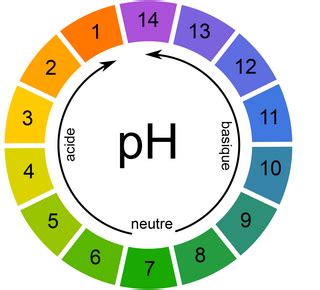 Les Solutions Acido Basiques Et Le PH Assistance Scolaire