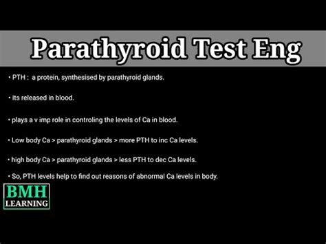 What Is Parathyroid Hormone Test Parathyroid Hormone Test Normal