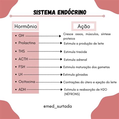 Mapas Mentais Sobre Sistema Endocrino Artofit
