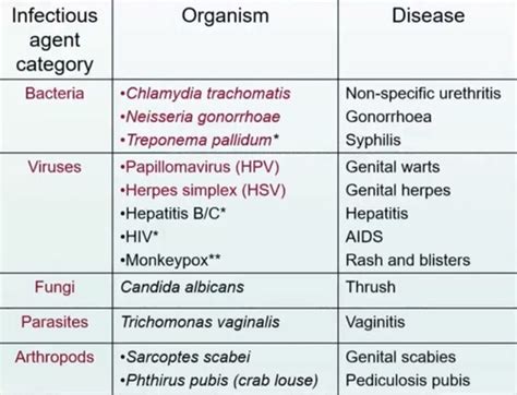 BY3FC1 STIs Flashcards Quizlet