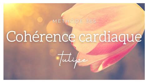 COHERENCE CARDIAQUE 5 MINUTES POUR UN SOULAGEMENT IMMEDIAT DU STRESS