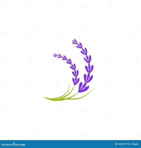 Lavender Flower Vector Icon Illustration Stock Vector Illustration Of