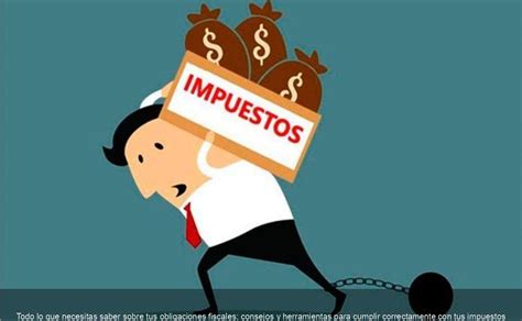 Todo Lo Que Debes Saber Sobre El Programa Stel Order Plantillas Factura