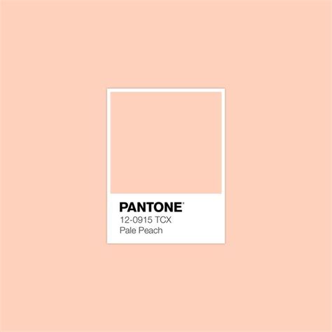 Pale Peach Pantone Kleurenpalet Pantone Kleuren