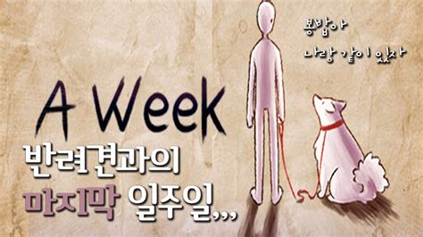 당신의 강아지는 행복하나요 강형욱도 해봤다는 그 게임 ㅣA week YouTube