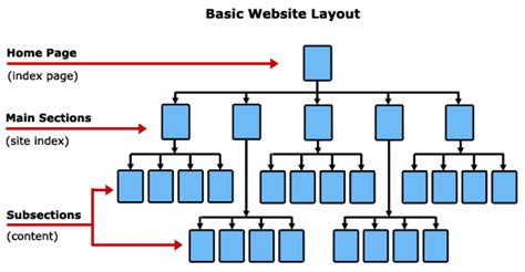 Types Of Website Structure Linear Hierarchical Webbed Pro Tips