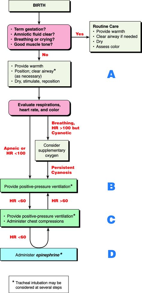 Flow Diagram For Basic Neonatal Resuscitation Steps Of Neona