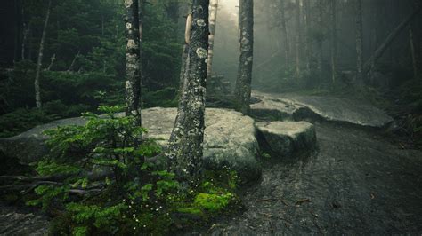 32K Ultra HD Nature Wallpapers Top Những Hình Ảnh Đẹp