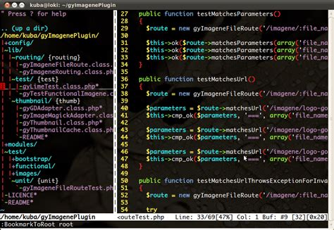 Exploring Files And Directories In Vim With The NERD Tree Plugin