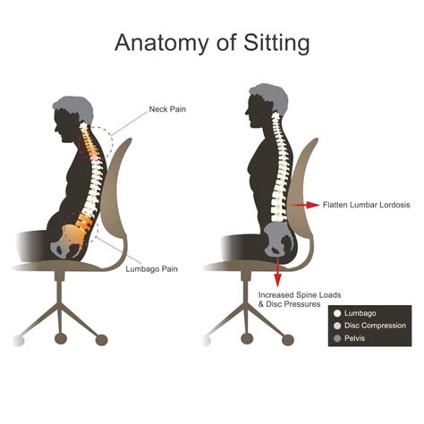 Best Office Chair For Sciatica Help And Wellness