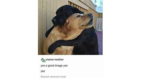 Tumblr Awards V Youtube