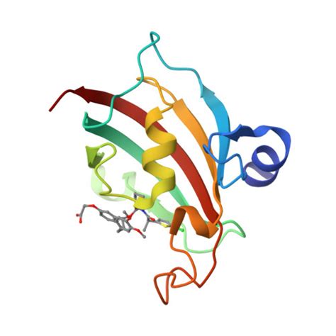 Rcsb Pdb Ccc The Fk Domain Of Fkbp In Complex With R