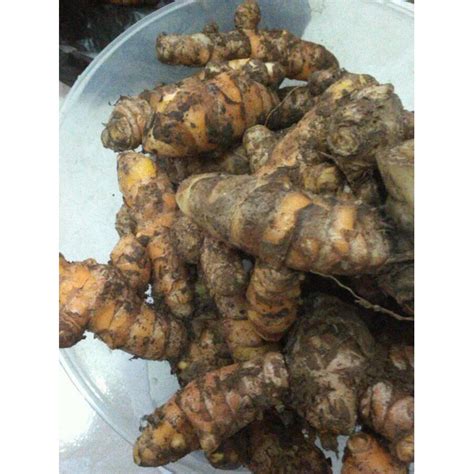 Jual Kunyit Masak Kunyit Kuning Kunir Kg Shopee Indonesia