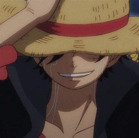 Atividade Wiki One Piece Brasil Amino