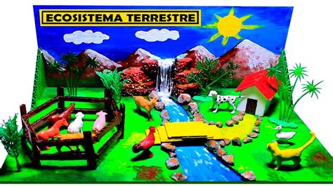MAQUETA De ECOSISTEMA TERRESTRE Paso A Paso YouTube