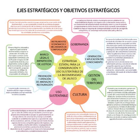 Ejemplos De Objetivos Estrategicos De Una Empresa