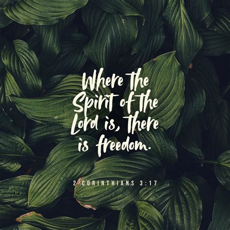2 Corinthians 3 17 Now The Lord Is The Spirit And Where The Spirit Of