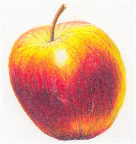 How To Draw A Juicy Apple Using Coloured Pencil