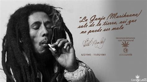 Frase De Bob Marley Sobre A Vida Librain