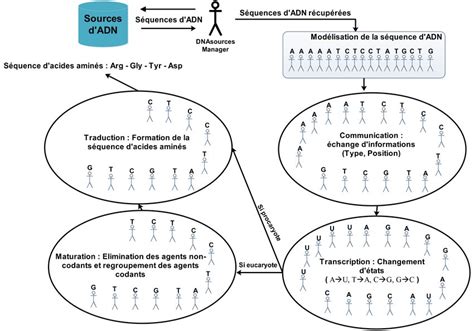L architecture générale du système multi agents Download Scientific