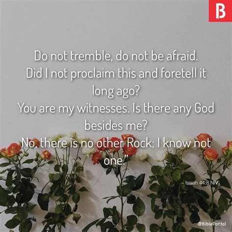 Isaiah 44 8 NIV Bible Study Meaning Images Commentaries