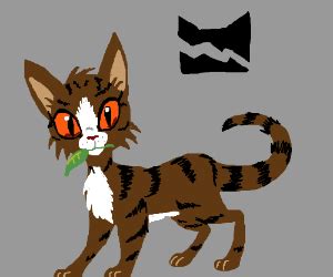 Crowfeather Feathertail Leafpool Or Nightcloud Drawception