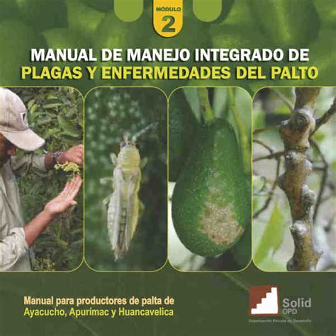 Control De Plagas Y Enfermedades Del Palto