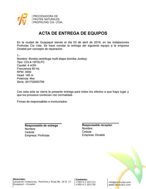 Top 116 Imagen Modelo De Acta De Entrega De Materiales En Word