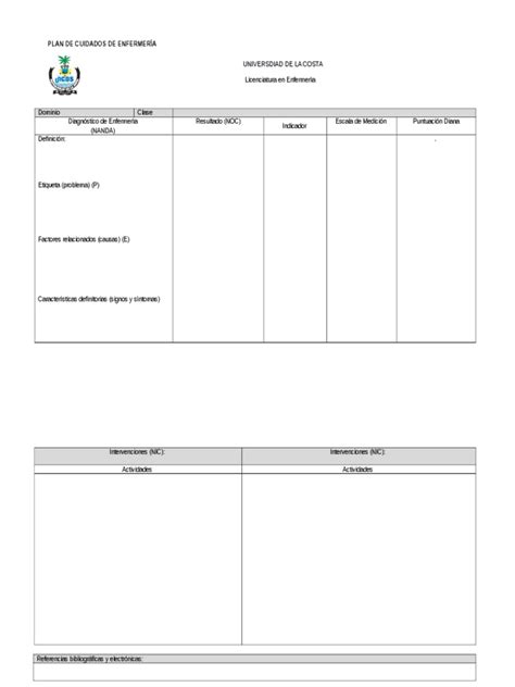 PDF Formato Plan De Cuidados En Enfermeria DOKUMEN TIPS