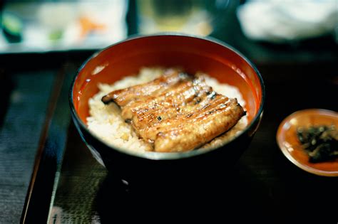 Easy Japanese Broiled Unagi Eel With Rice Recipe