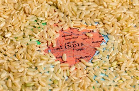 India Lifts Non Basmati Rice Export Ban Trade World News