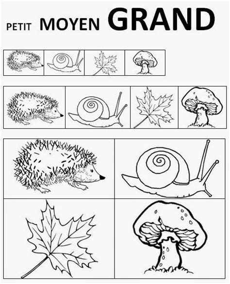 Coloriage Maternelle Automne Facile