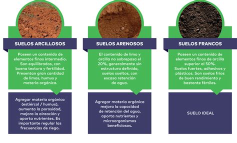 Existe El Suelo Ideal Para El Cultivo De Papa Tipos De Suelo Y