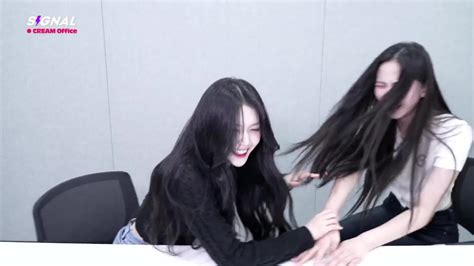 240820 지우 유빈 라이브 하겠습니다 tripleS SIGNAL LIVE YouTube