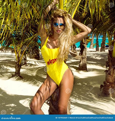 Belle Sexy Femme Dans Le Bikini Posant Sur La Plage Des Cara Bes Ma