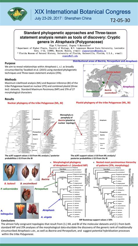 T Standard Phylogenetic Approaches And Three Taxon Statement Analysis