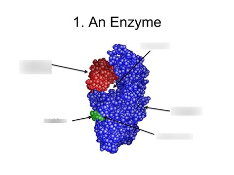 Biochemistry I Module Of The MCAT Self Prep ECourse Lesson 2 Enzymes