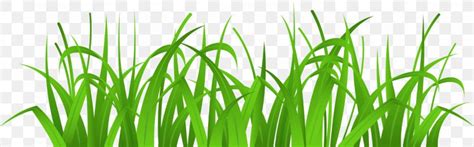 Free Clipart Grass