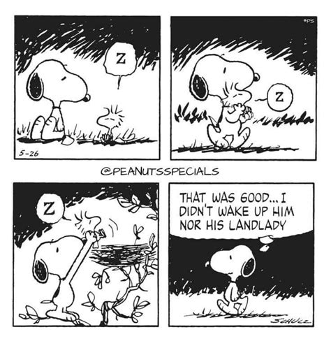 Pin By Susan Stewart On Snoopy And The Gang 5 Snoopy Funny